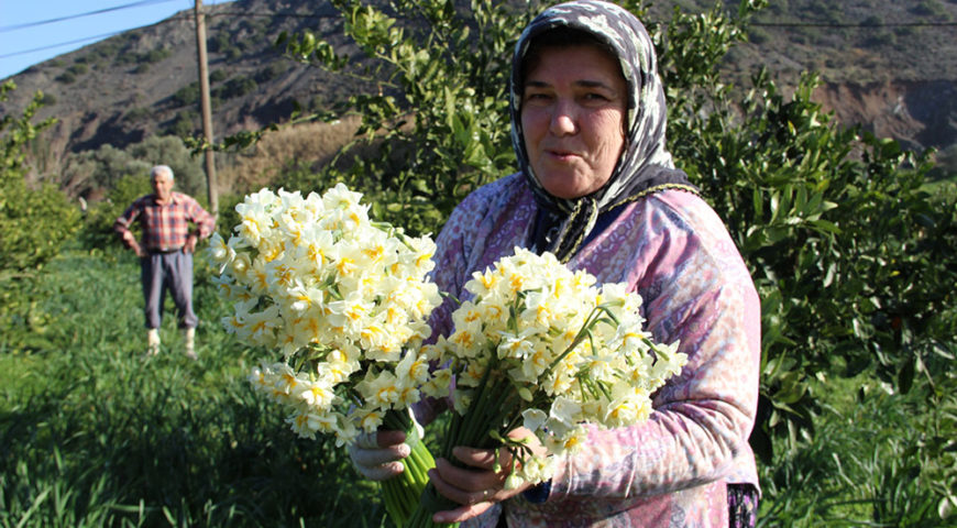 Günlük TurlarEbruli Turizm