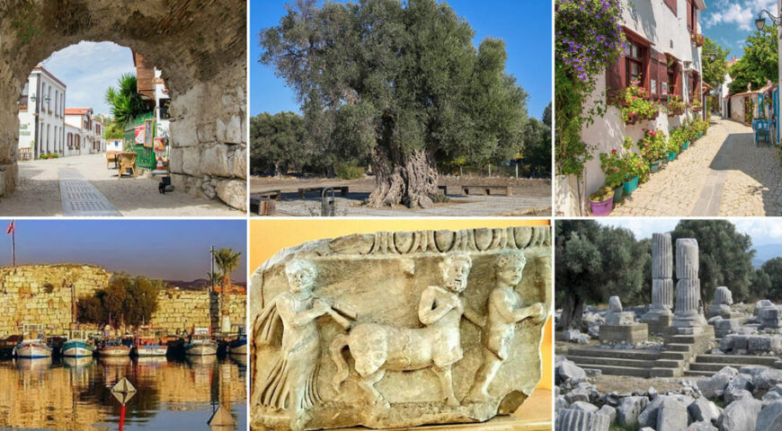 Günlük TurlarEbruli Turizm